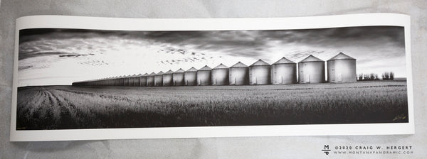 "Grain Lines" - Kremlin, MT - Montana Panoramic Gallery